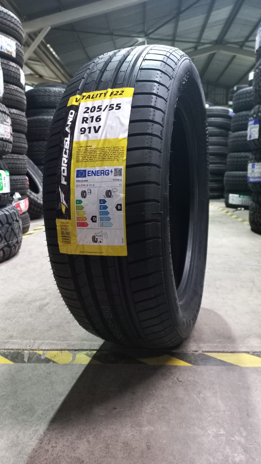 NEUMATICO 205/55 R16 FORCELAND VITALITY F22 91V – Neumáticos del Maule